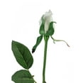 22.5" Artificial Long Single Stem Cream Colored Budding Rose - Walmart.com