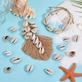 43Pcs Natural Cowrie Shell Beads No Hole Beads Nice for Making ...