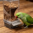 Automatic Bird Feeder for Indoor Use | Transparent Acrylic Cage Feeder ...