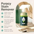 Puracy Laundry Stain Remover Spray - Effective Spot Cleaner, 12oz ...