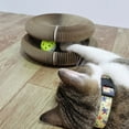 Magic Organ Foldable Cat Scratcher Cardboard with Bell Ball, Claw ...