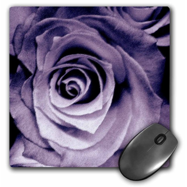 3dRose Lavender purple rose, Mouse Pad, 8 by 8 inches - Walmart.com