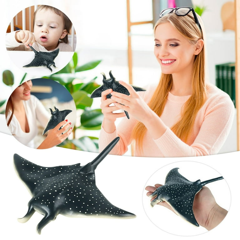 Baby Stingray Smiling