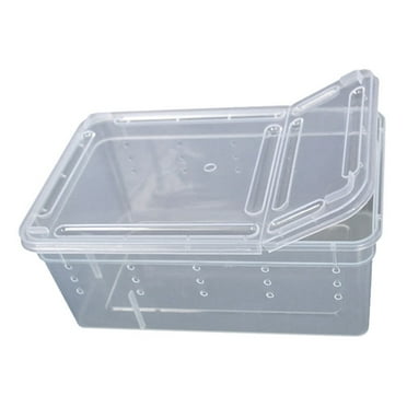 Manunclaims Reptile Small Snake Feeding Box Lizard Tarantula Habitat ...