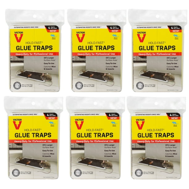 Mouse Glue Traps