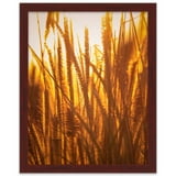 Solid Wood Photo Frame 12x16 12" X 16" Dark Walnut 323 - Walmart.com