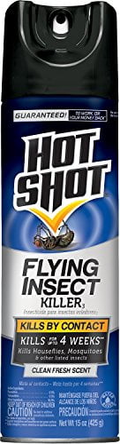 Brandclub - Hot Shot Flying Insect Killer