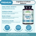 Why Not Natural NAC Supplement 600 mg, N-Acetyl Cysteine Capsules, Pure ...