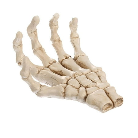 Skeleton Hand Model Figure Realistic Palm Parts Anomy Model | Walmart ...