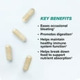 ONNIT Total GUT HEALTH®, Daily Digestive Support Supplement, 60 ...