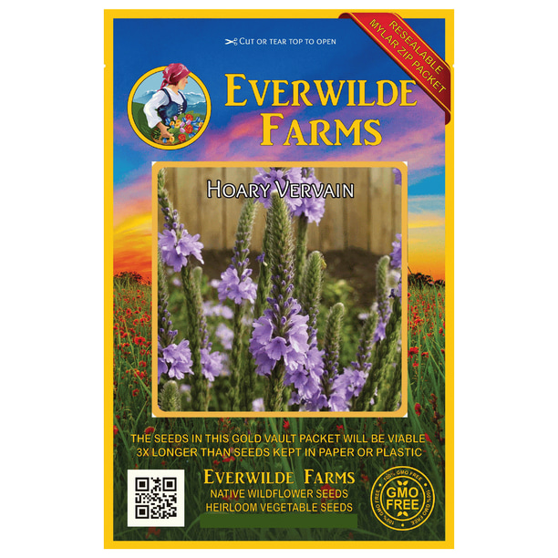 Everwilde Farms - 2000 Hoary Vervain Native Wildflower Seeds - Gold ...