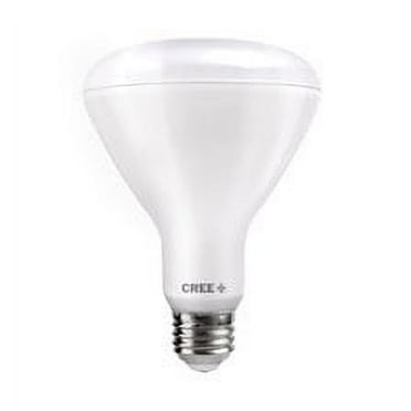 Cree Lighting PAR38 Weatherproof Outdoor Flood 150W Equivalent LED Bulb ...