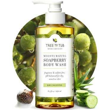 Zest Ocean Breeze with Sea Minerals Invigorating Body Wash, 18 fl oz ...