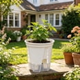 Breathable Orchid Pot with Water Reservoir Self-Watering Planter,C ...