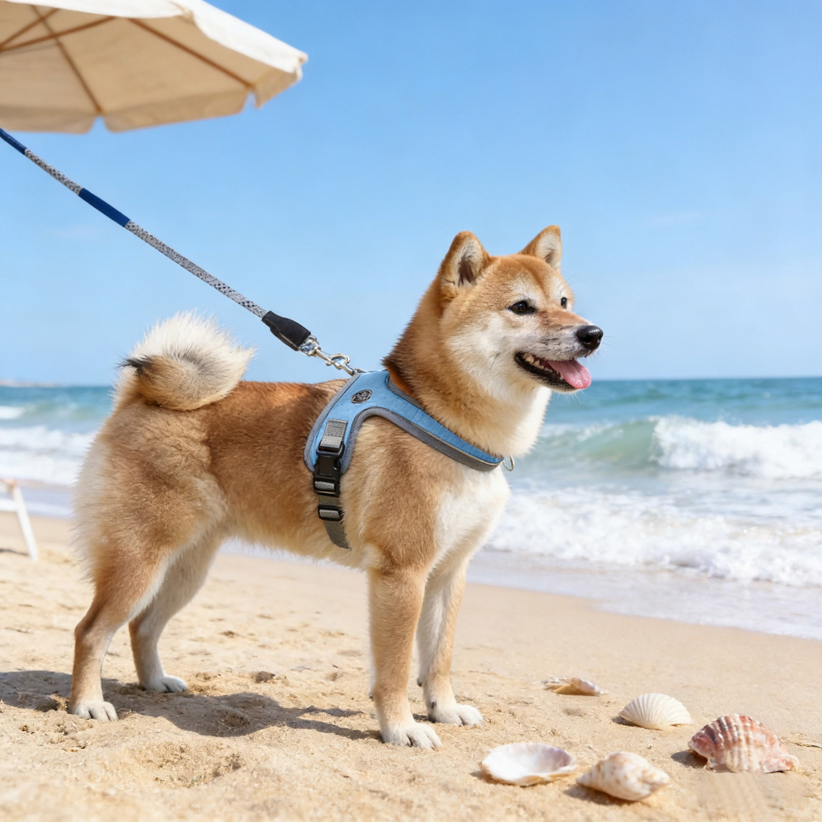 Click here for Vivavault Breathable No Pull Harness With Reflecti... prices