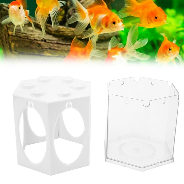 ANGGREK Aquarium Fish Tank, Hexagonal Fish Tank A Rounded Corner Design ...