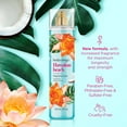 Bodycology Fragrance Body Mist, Hawaiian Beach, 8 fl oz - Walmart.com