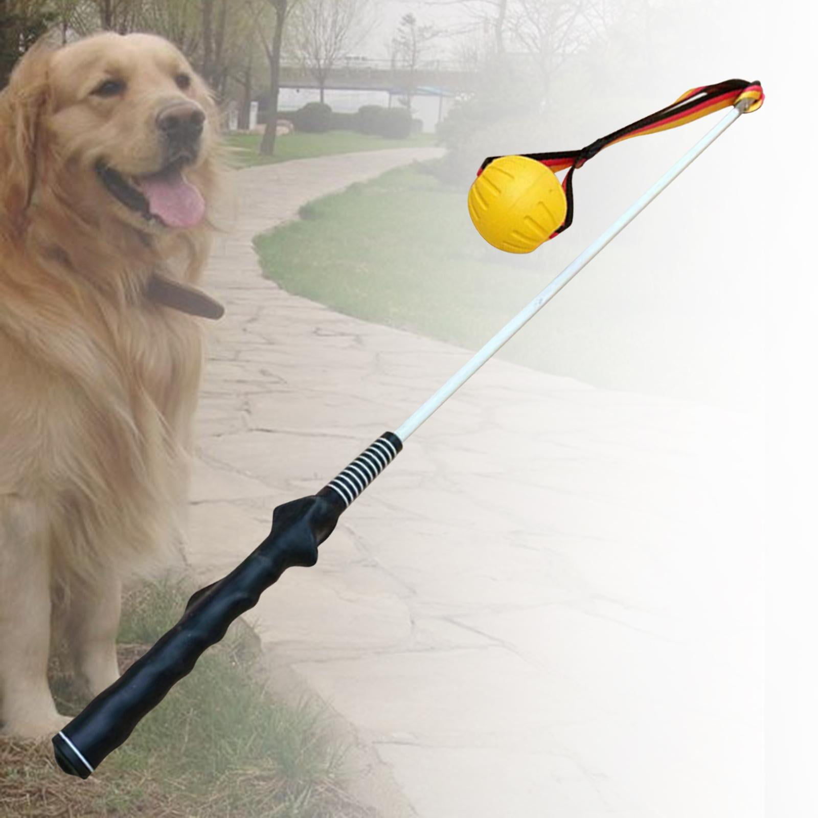 Pole for Dogs Tug of War Rope Toy Tool Long with Chewing Toy Large ...