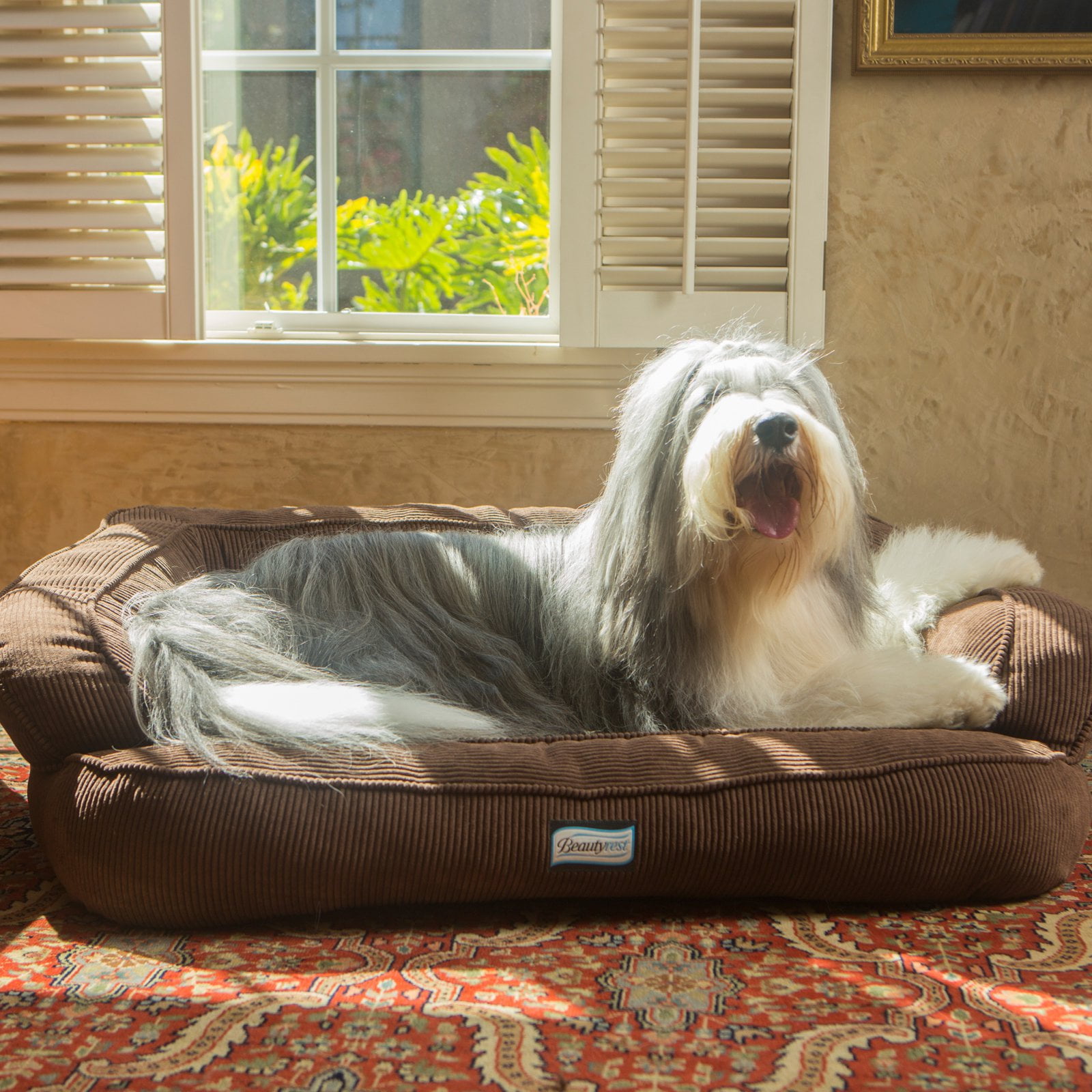 Buy Simmons Beautyrest Peet Colossal Rest Orthopedic Memory Foam Dog ...