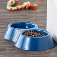 Vibrant Life Double Dog Feed and Water Bowl, Blue, 6.25 Cup Capacity ...