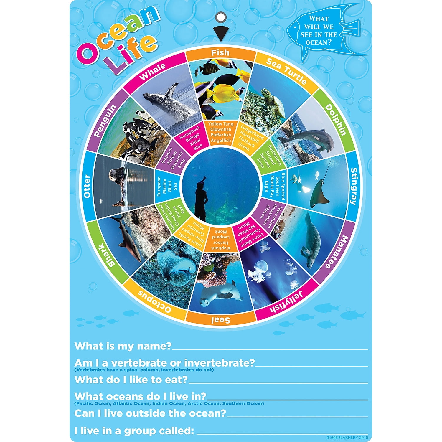 Ashley Productions Smart Poly 13"" x 19"" Ocean Life Chart (ASH91606 ...