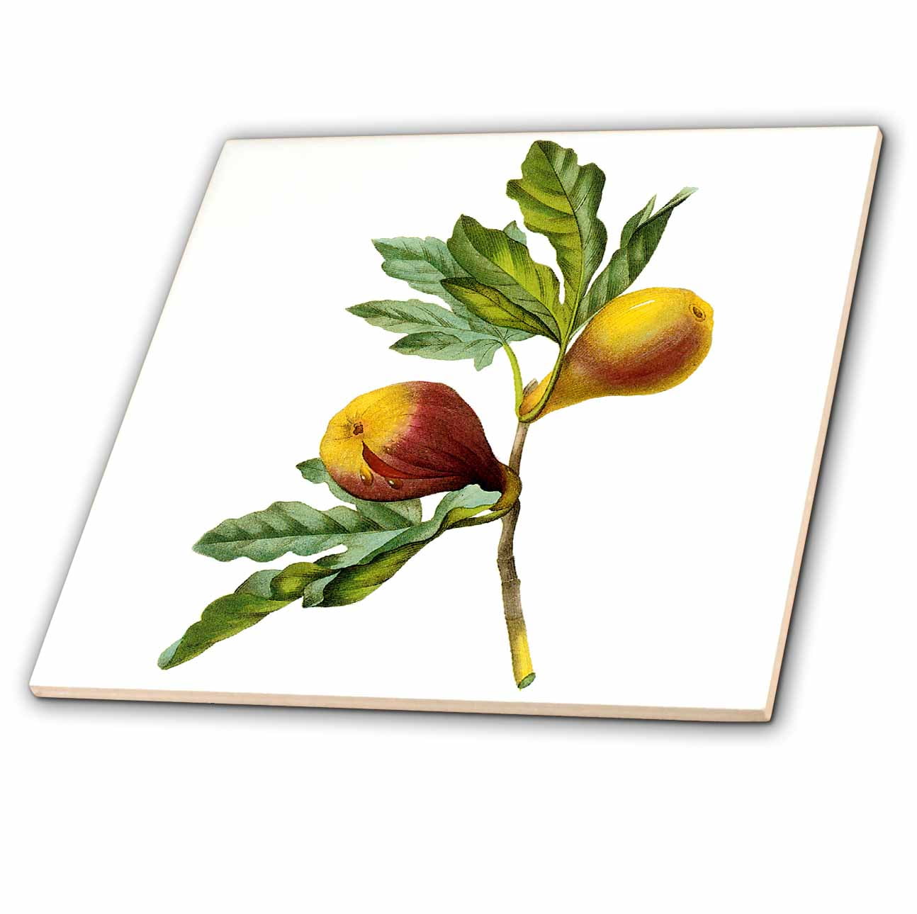 3dRose Redoute Vintage Watercolor Fruit Fig Ficus Violacea - Ceramic ...