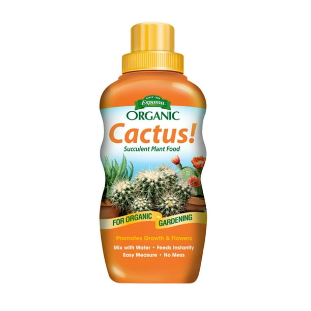 Cactus Plant Food