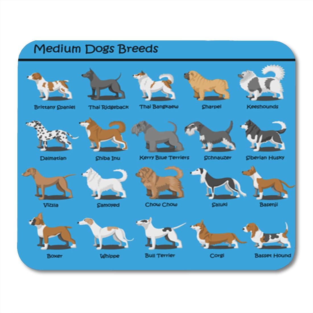 SIDONKU Cartoon Dogs Characters Meduim Breeds Doggy Brittany Spaniel ...