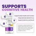 Vertiaid Supplement Capsules – Vertiaid All Natural Memory Focus Pills ...