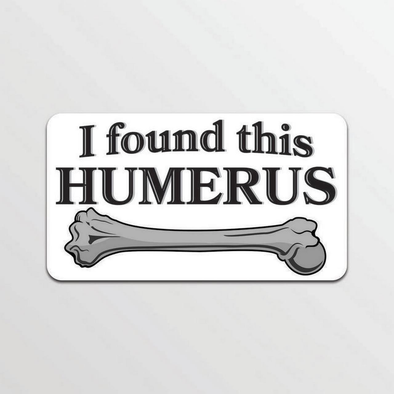 I Found This Humerus Vinyl Decal Sticker | Cars Trucks Vans SUVs ...
