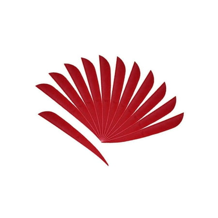 12 Pieces Archery Hunting Arrow Feather Fletching Right Universal Arrow ...