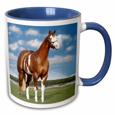 3dRose Bowling Ball and Pins - Two Tone Blue Mug, 11-ounce - Walmart.com