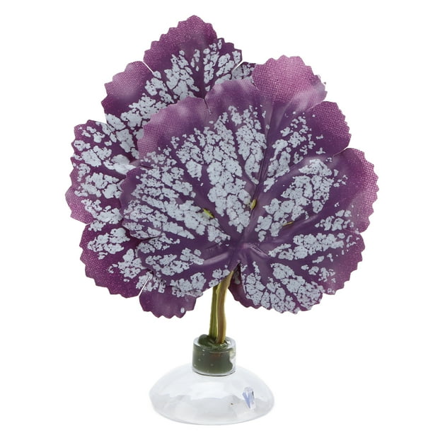 Betta Fish Bed,Betta Fish Leaf Pad Betta Fish Hammock Betta Fish Leaf ...