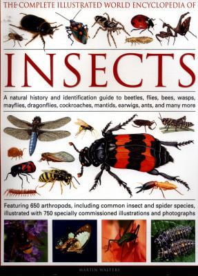 Pre-Owned The Complete Illustrated World Encyclopedia of Insects: A Natural History And ...