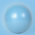Large 65cm Yoga Ball Explosion Proof Balance Exercise Ball For