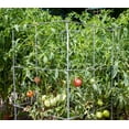 Glamos Wire 16" X 42" Square Heavy Duty Wire Plant Support for ...