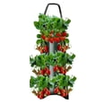 Upside Down Strawberry Planter- Hanging Strawberry Planter Hanging ...