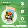 Created By Nature, Wildflower Seed Mix, 54,000+ Seeds, 22 Varieties ...