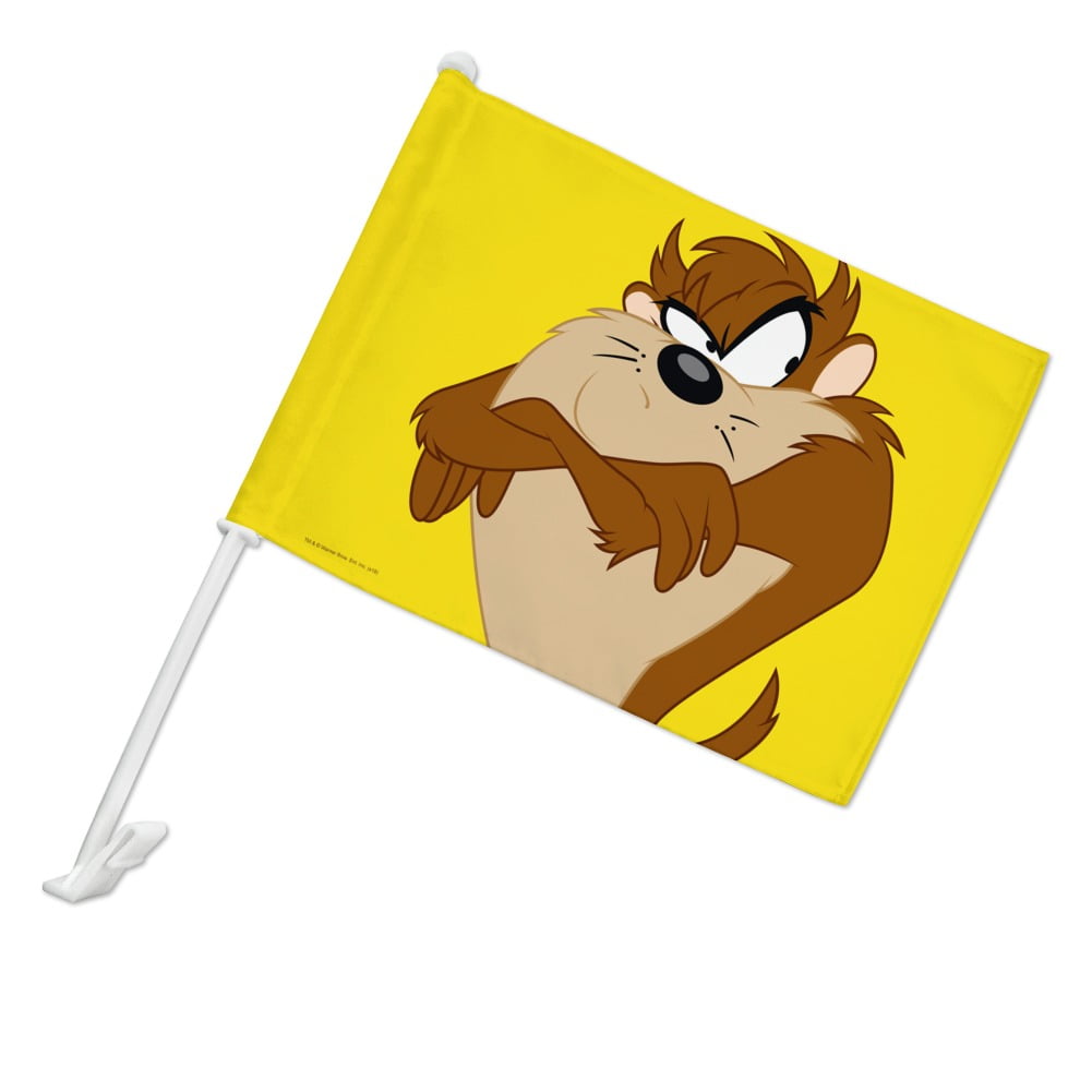 Looney Tunes Taz Car Truck Flag with Window Clip On Pole Holder ...