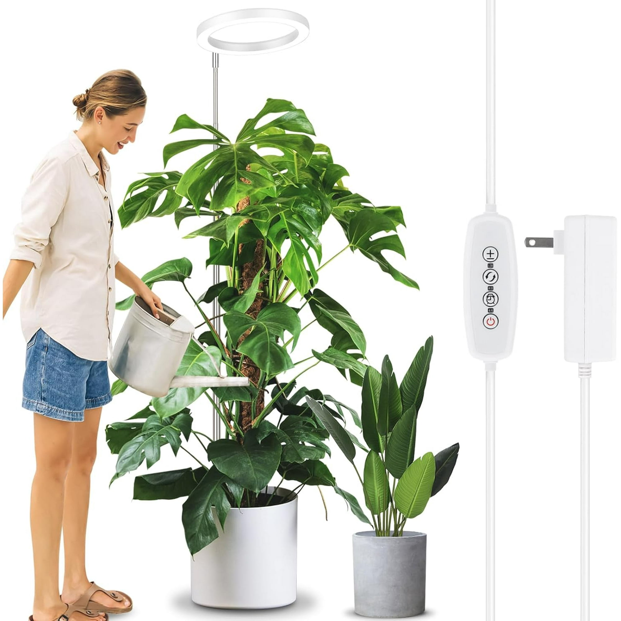 Click here for Nobrand Grow Light For Indoor Plants Full Spectrum... prices