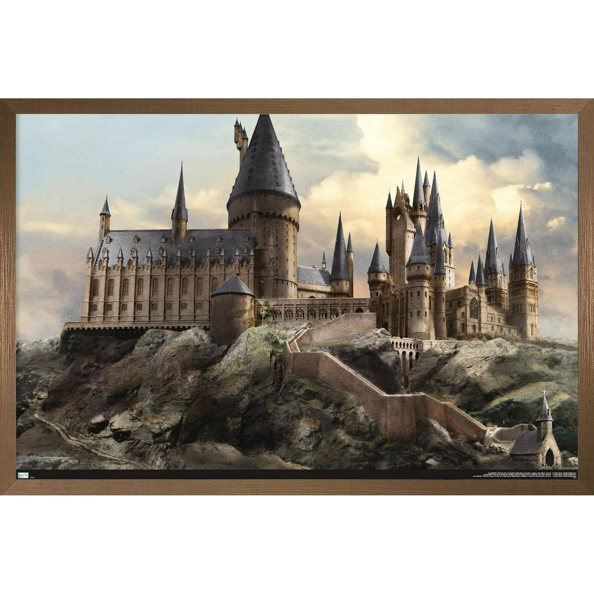 Click here for Trends International The Wizarding World: Harry Po... prices