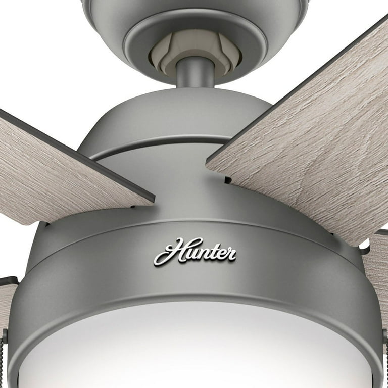Hunter Surfboard Ceiling Fan | Shelly Lighting