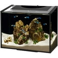 Aqueon Aquarium Starter Kit with LED Lighting - Walmart.com