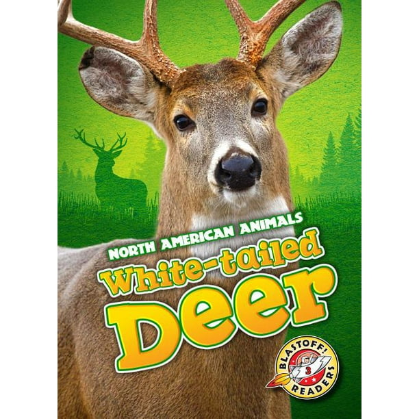 Whitetail Deer Anatomy