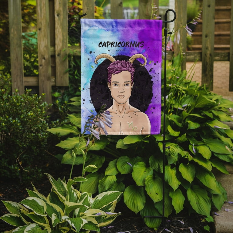 Green flag zodiac sign 60 photos - Astrologytoyou.com