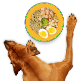 Pat Pat Noodles 3 Pack - Walmart.com