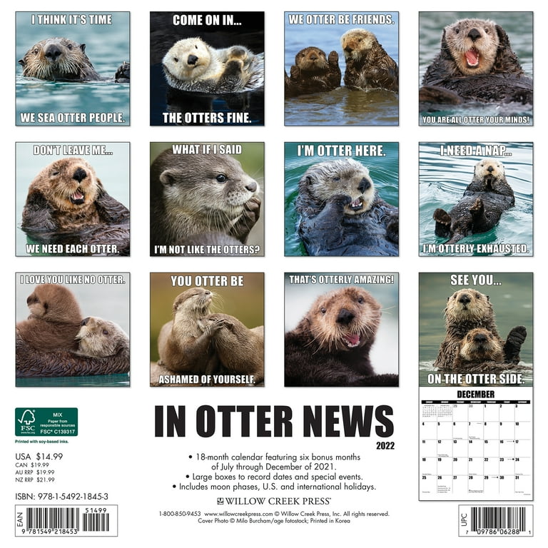 You Otter Be Ashamed Of Yourself