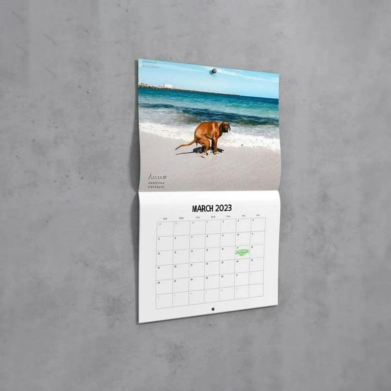 Dog Yoga Calendar 2022