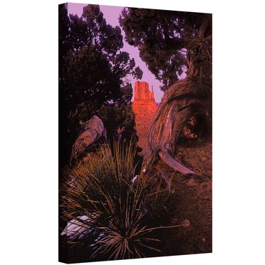 Dean Uhlinger "Ponto Beach Twilight" Gallery-Wrapped Canvas - Walmart.com