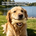Durable Dog Chew Toy, Bone Shaped Teething Toy with Spiky Surface ...